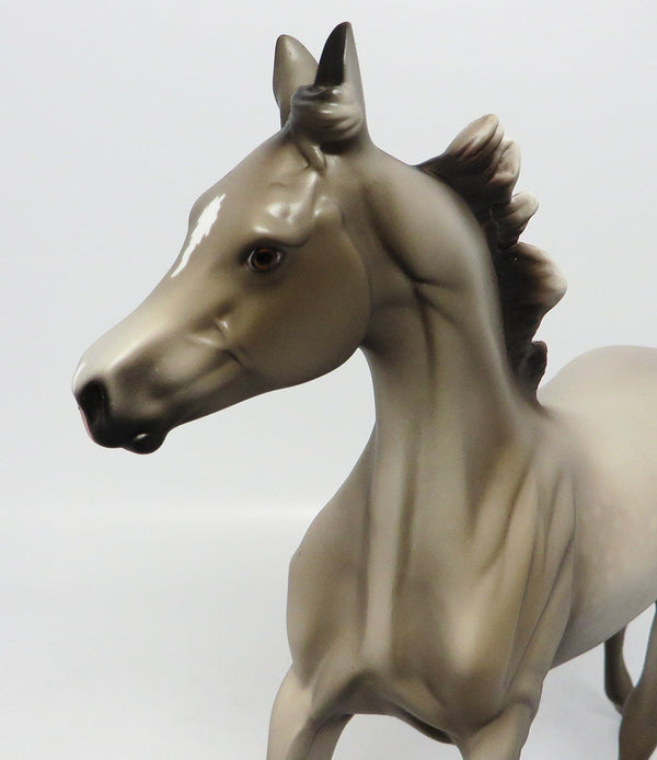 LAKOTA-LE-7 DAPPLED GREY YEARLING MODEL HORSE EQ 2017 - Stone Horses