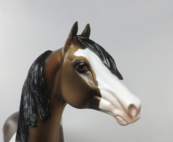 BUSHWHACKER-SOOTY BUCKSKIN TOBIANO MORGAN MODEL HORSE 9/12 - Stone Horses