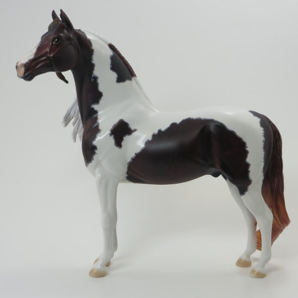 LANCASTRIAN - OOAK Liver Chestnut Pinto Morgan 5/15 - Stone Horses
