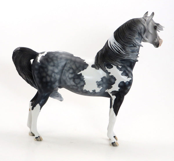 MOONLIGHT SONATA - OOAK Dappled Grey Pinto Morgan 7/24 - Stone Horses
