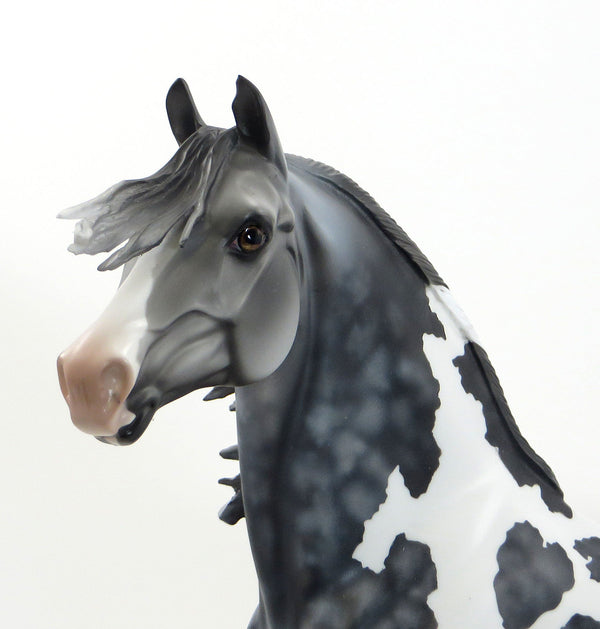 MOONLIGHT SONATA - OOAK Dappled Grey Pinto Morgan 7/24 - Stone Horses