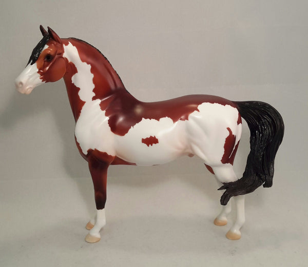 SCRAMBLER - Overo Paint Morgan Horse - Stone Horses
