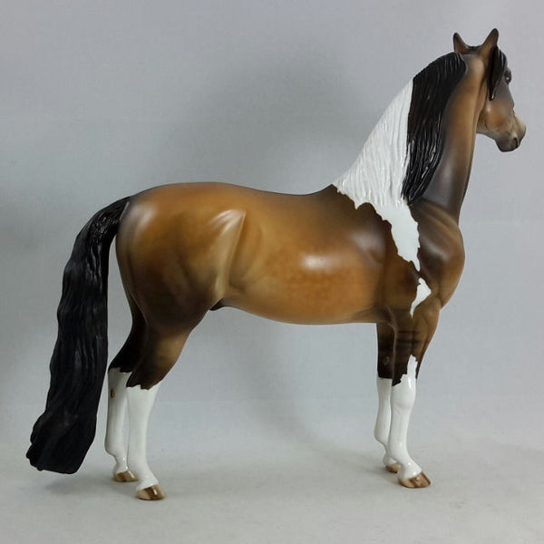 BANSHEE - OOAK Dun Tobiano Pinto Morgan - Stone Horses
