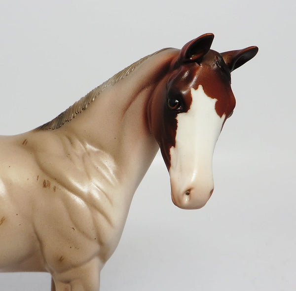 WIND CAVE-OOAK ROAN WEANLING MODEL HORSE EQ 2017 - Stone Horses
