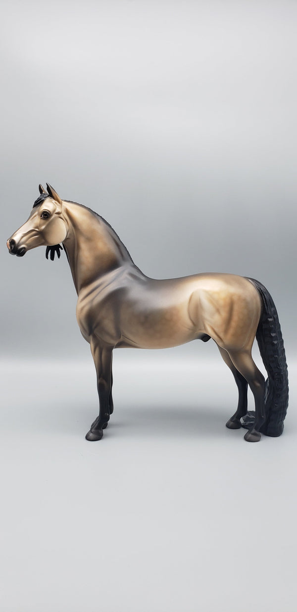 Perfect Horse Morgan Custom Sooty Buckskin Morgan By Dawn Quick AoTH23 ...