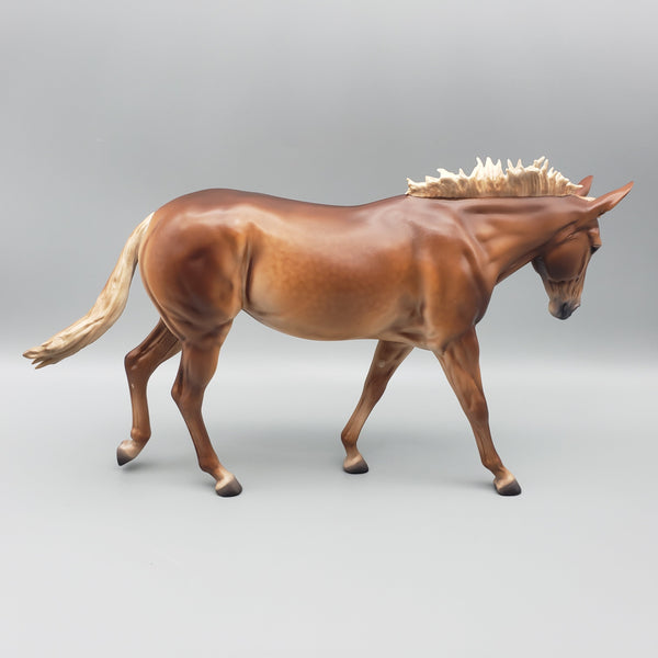 Sahara OOAK Silver Dapple Bay Mule By Caroline Boydston Best Offers 7 ...