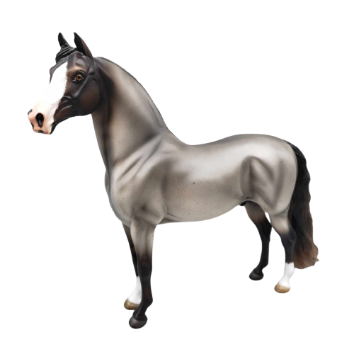 Alessio OOAK Dark Chocolate Roan Morgan By Angela Marleau Fall Into Au ...