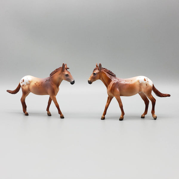 Mini Alfalfa - LE20 - Chestnut Appaloosa Mule Chip By Dawn Quick EQ23 ...