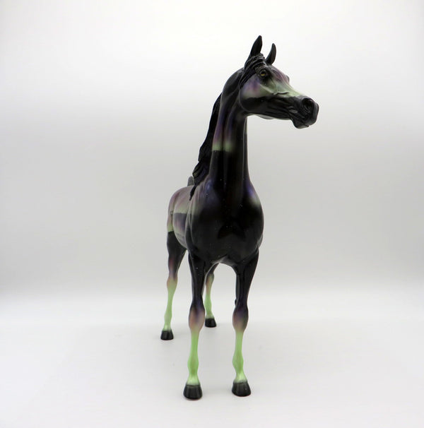 Northern Light's DAH Special - Stone Horses