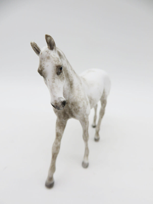 Daybreak - OOAK - Grey Sabino Appaloosa Warmblood Mare By Andrea Thoma ...