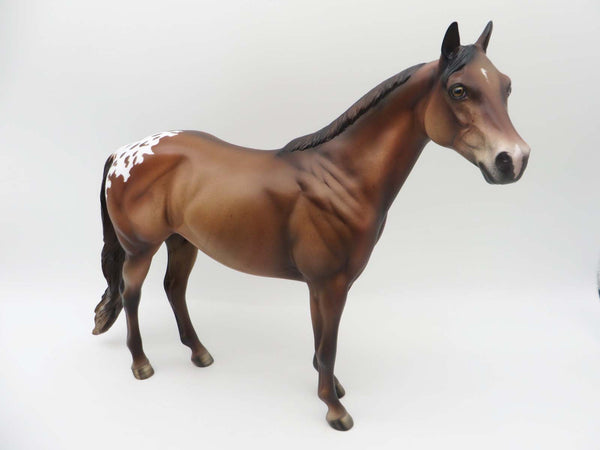 Gimp - OOAK - Appaloosa Ideal Stock Horse By Julie Keim - SHCF23 ...