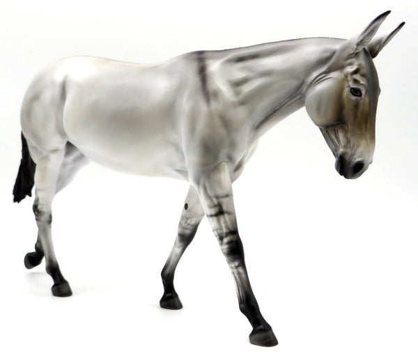 Silver Stardust-OOAK Silver Dun Mule Painted by Carrie Keller 1/10/21 ...