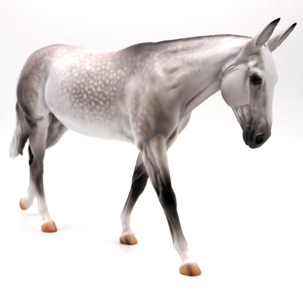 Parliament- OOAK Dapple Grey Mule Painted by Caroline Boydston 5/16/22 ...