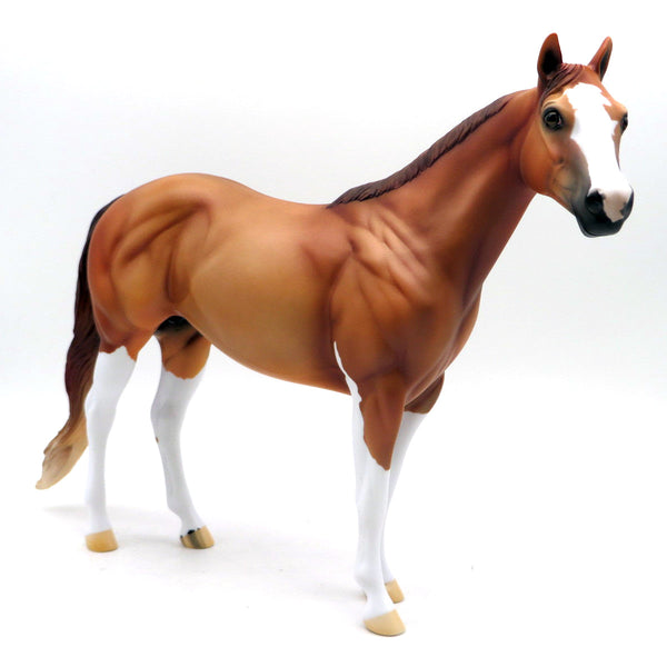 Anton-OOAK Chestnut Splash ISH Painted by Ellen Robbins EQ 22 - Stone ...