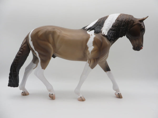 DUNBAR-OOAK Etched Pinto Grulla Irish Draft By Caroline Boydston 11/14 ...