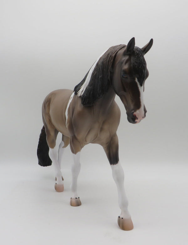 DUNBAR-OOAK Etched Pinto Grulla Irish Draft By Caroline Boydston 11/14 ...