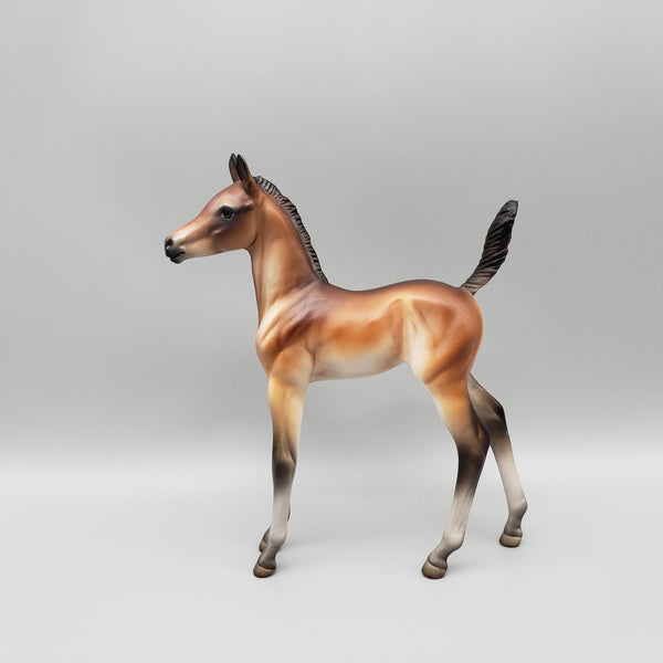 Sample of Mirana Mealy Bay Arab Foal By Julie Keim - Stone Horses