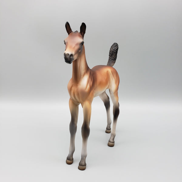 Sample of Mirana Mealy Bay Arab Foal By Julie Keim - Stone Horses