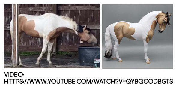 Inspired By Winter Buckskin Tobiano Andalusian Mare by Jess Hamill AoT ...