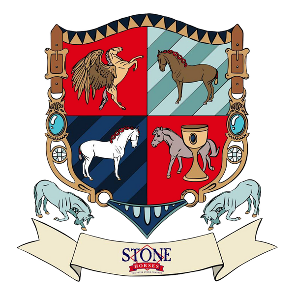 EQUILOCITY 2019-IN SEARCH OF THE HOLY GRAIL....T-SHIRT - Stone Horses