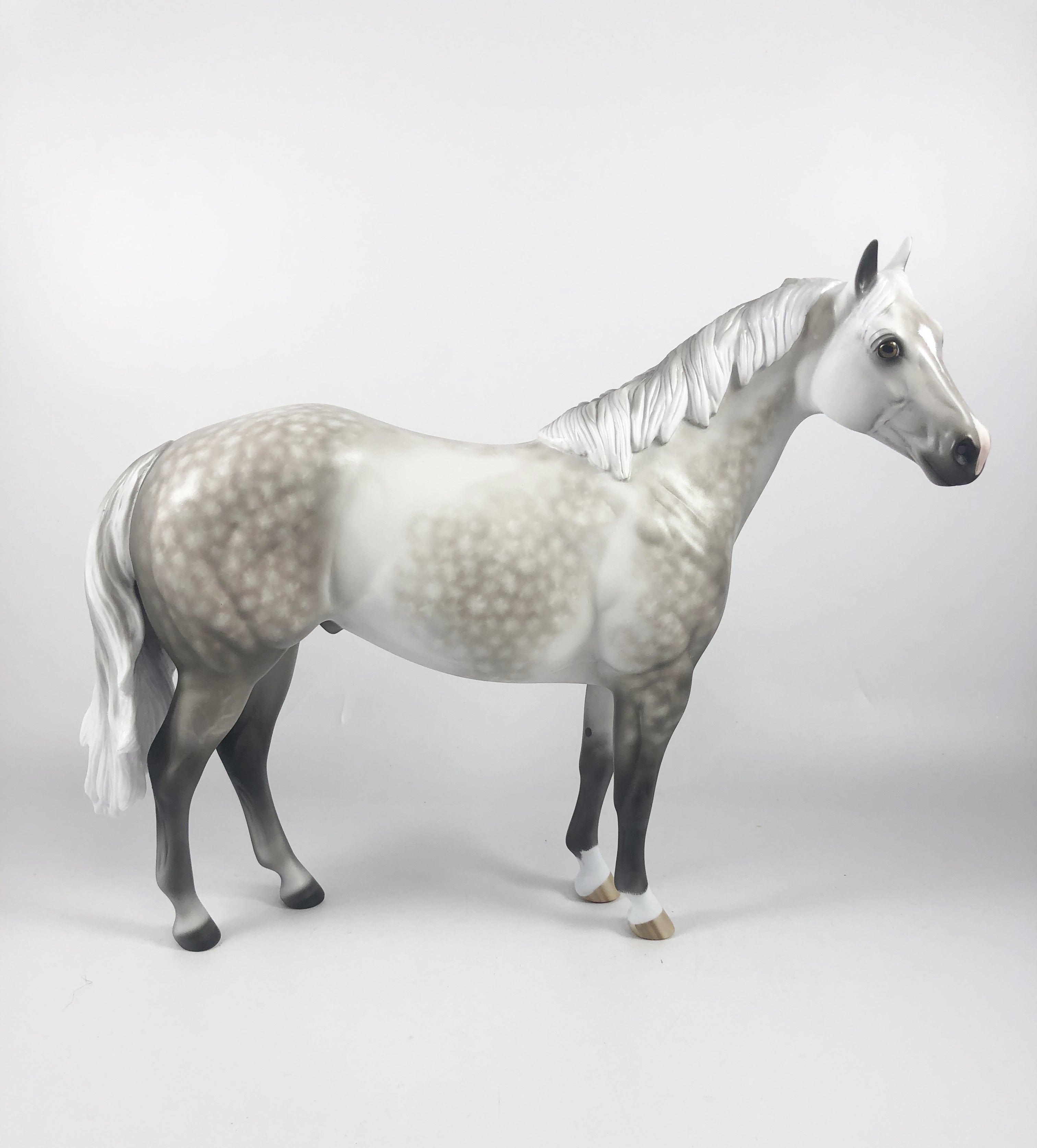 Dapple Gray Horse