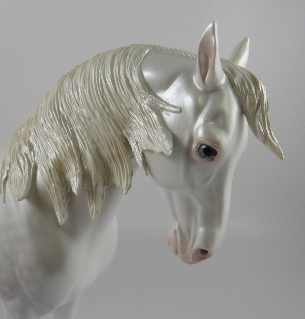 OH MY-LE-10 DAPPLE WHITE ANDALUSIAN LHS 2019 - Stone Horses