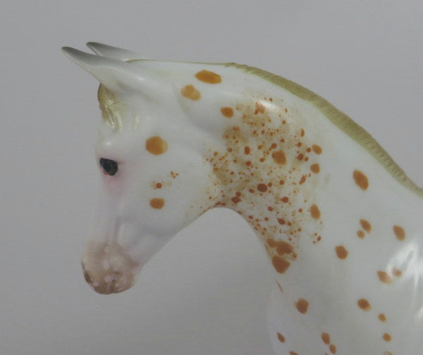 RED-OOAK CHESTNUT APPALOOSA WEANLING MODEL HORSE LHS 19 - Stone Horses