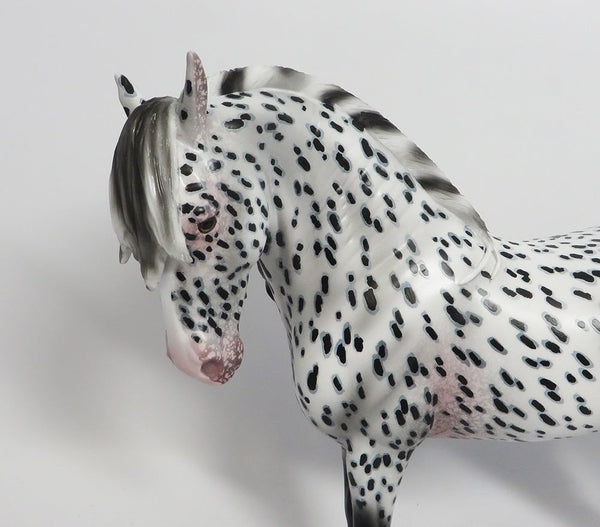FRIGHT NIGHT-OOAK LOUD LEOPARD APPALOOSA ANDALUSIAN MODEL HORSE MM 201 ...