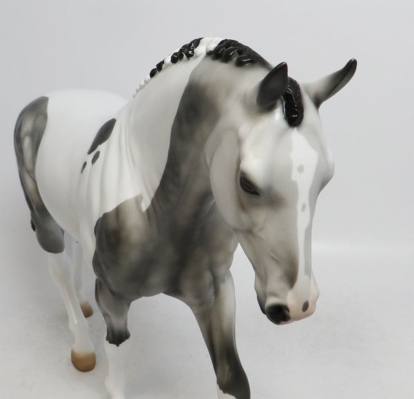 LUCIUS-LE-15 DAPPLE GREY PINTO IRISH DRAFT WHS 2018 - Stone Horses