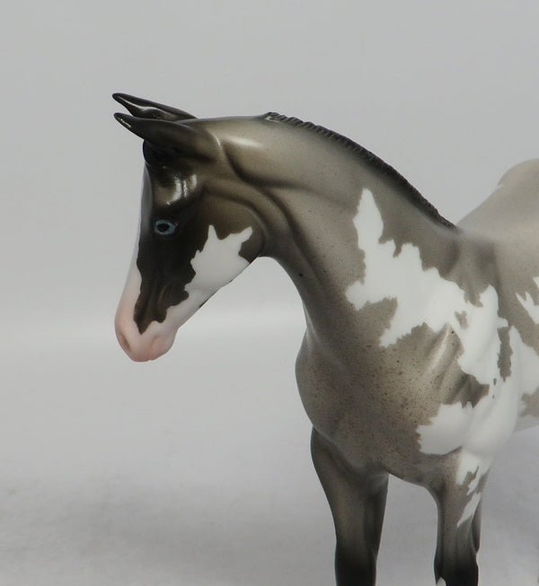 DORIAN-LE.7 BLUE ROAN OVERO WEANLING MODEL HORSE BY JAS FANNING 6/8/18 ...
