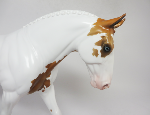 NO LIMITS- LE-8- PALOMINO PINTO IRISH DRAFT SB 19 BY AMANDA - Stone Horses