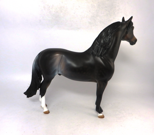 WINGERS- LE-3 DARK BAY RABICANO MORGAN BY AUDREY DIXON SB19 - Stone Horses