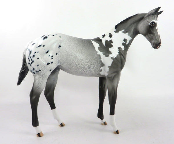VARSITY BLUES - OOAK GREY PINTALOOSA WEANLING MODEL HORSE BY DAWN QUIC ...