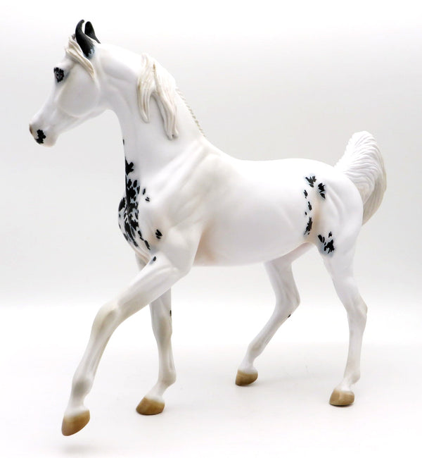Witching Hour - Maximum Sabino Marwari - Run of 30 - MM 2021 - Stone Horses
